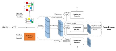 221208379 Geneformer Learned Gene Compression Using Transformer
