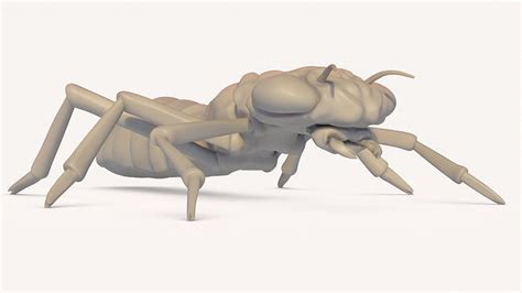 Insect 3d Model 3d Printable Cgtrader
