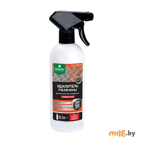 Средство для удаления ржавчины Prosept Rust remover готовый состав 0,5 ...