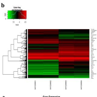 Identification Of DEGs In The CC Dataset GSE Of Congenital Download Scientific Diagram