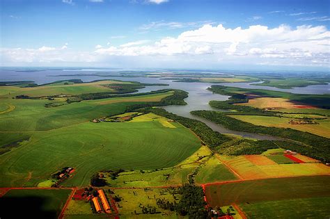 Idr Paraná Emite Nota Técnica Sobre Importância Da Conservação