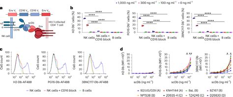 Advancing Hiv 1 Therapy Bispecific Antibodies To Enhance Latent