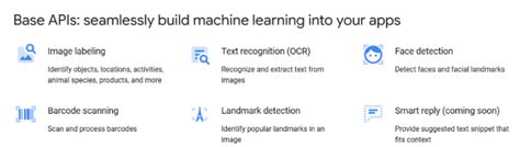 Ml Kit And Text Recognition In Flutter Flattered With Flutter