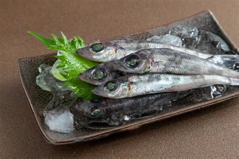魅惑の赤い魚！キンキ・キチジ・のどぐろの違いと旬の味わい 干物乾物ドットコム