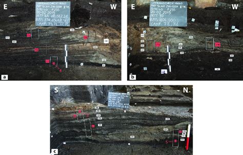 Profiles Showing The Internal Stratification Of Structures E And F Red