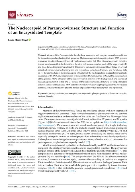 Pdf The Nucleocapsid Of Paramyxoviruses Structure And Function Of An Encapsidated Template