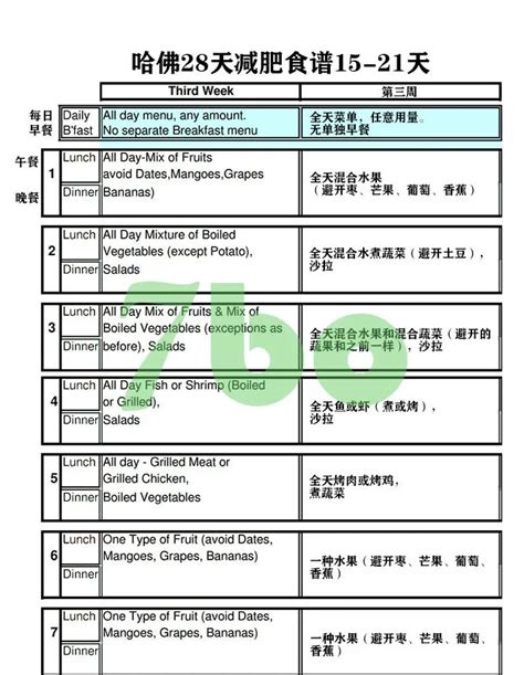 哈佛28天减肥食谱：详细指南