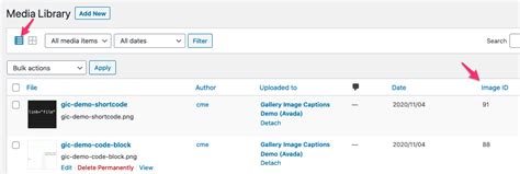 GitHub Marklchaves Gallery Image Captions Plugin To Create A Filter To Customise WordPress
