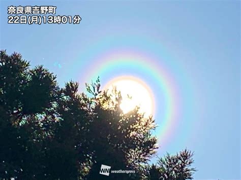 東日本や西日本で花粉が大量飛散 花粉光環も出現 ウェザーニュース