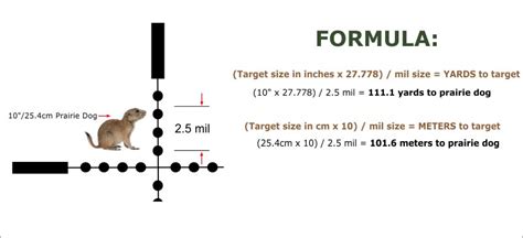 How To Use A Rifle Scope With A Rangefinding Reticle