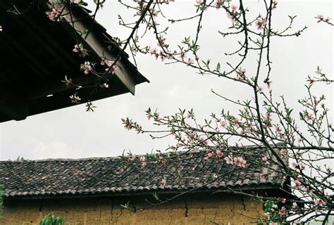 Wintwer Season Photos Download The Best Free Wintwer Season Stock