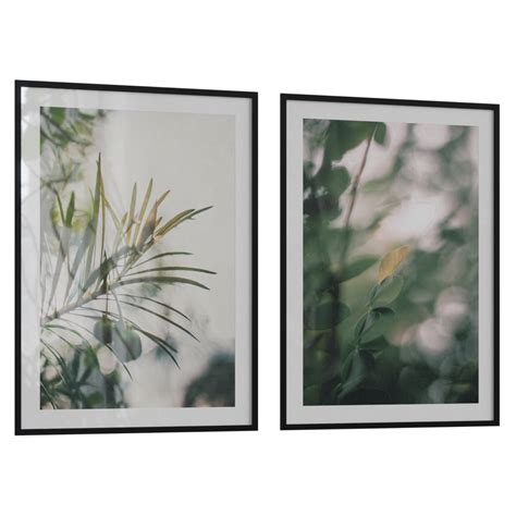 Plant Frames 02 • Imeshh 3d Model For Blender 40
