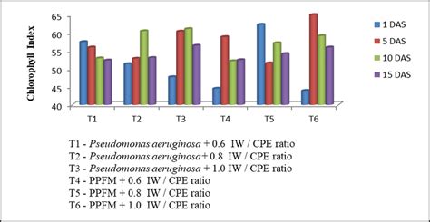 Spad Values Of Tomato As Influence Of Irrigation Regimes And Microbial Download Scientific