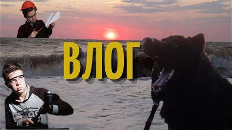 Влог Гуляем с Бароном и с Катей в Крыму Youtube