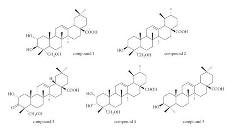 Structures Of The Triterpenoids From The Triterpenoid Enriched Fraction