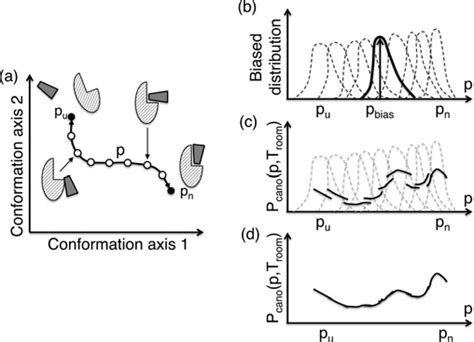 Scheme For Explaining Umbrella Sampling Download Scientific Diagram