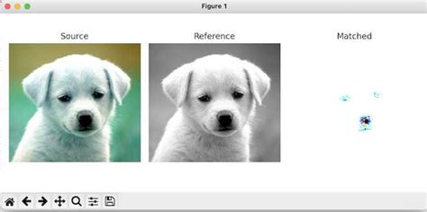 Histogram Specification Enhancing Image Quality And Contrast Accuracy