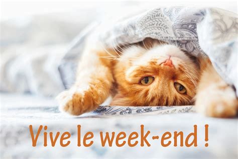 Vive Le Week End Vive Le Week End Humour G4G5