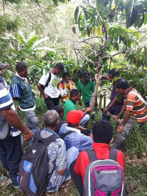 Edm In Indonesia 2015 2017 Energy Delivery Module