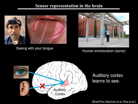 Ppt Feature Learning For Image Classification Powerpoint Presentation