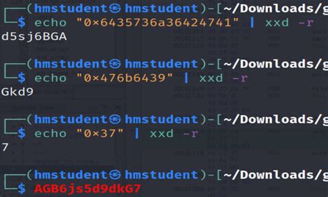 Classic Passwd Tryhackme