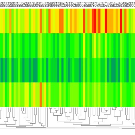Overview Of Metabolic Phenotypes Of Four Botryosphaeria Species