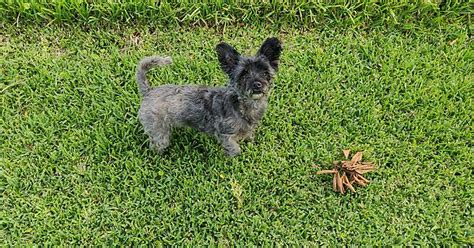 Bindee Album On Imgur