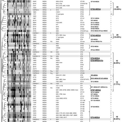 Molecular And Genotypic Characteristics Of Staphylococcus Aureus Download Scientific Diagram