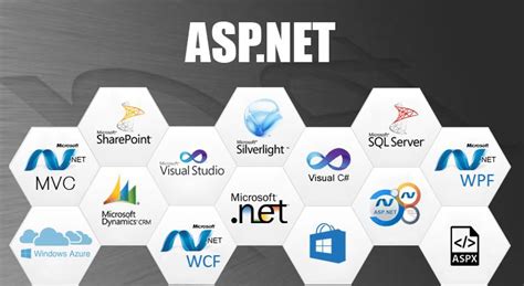 How ASP NET Development Can Make Your Dynamic Pages Attractive Octal