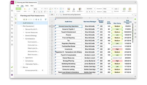 Internal Audit Management Software System Workiva