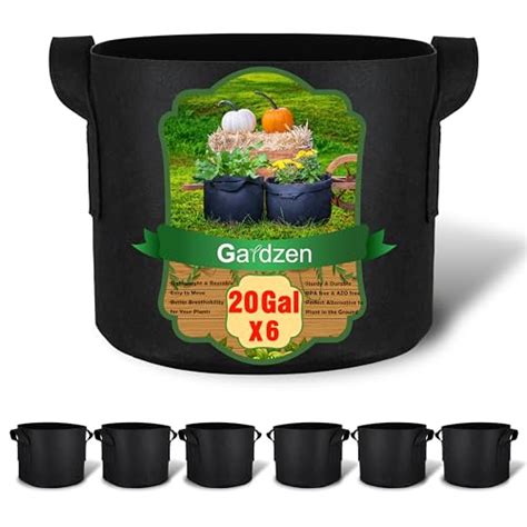 Best 20 Gallon Pots For Trees To Grow Strong And Healthy Roots Garden