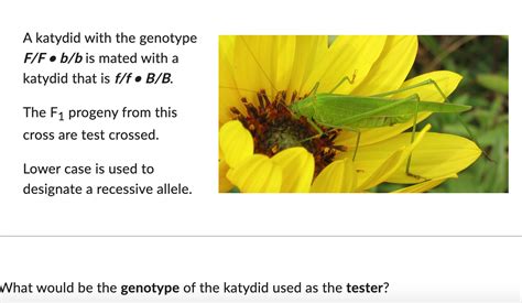 Solved A F F • B B B F F • B B C F F • B B D F F • B B