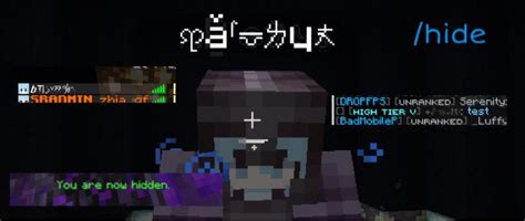 Donutsmp Hide Skript Builtbybit