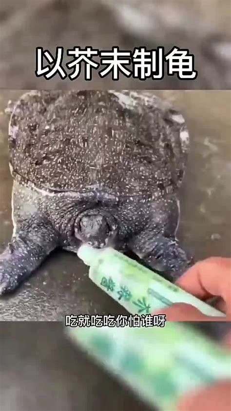 一物降一物