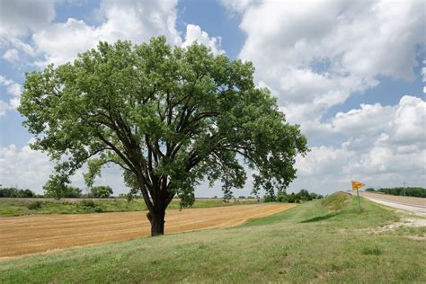 Virtual Tour Of The Flint Hills Scenic Byway Pioneer Bluffs