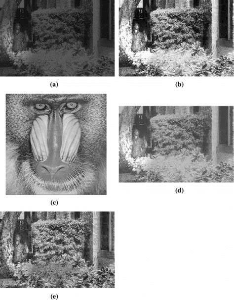 Results Of The First Enhancement Experiment A Original Ir Image B