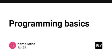 programming basics dev community