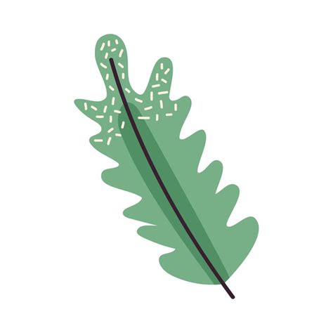 Leaf Plant Foliage 11175481 Vector Art At Vecteezy
