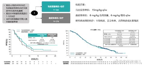 转移性HER2 阳性乳腺癌的解救治疗迈入新时代 抗癌 乳腺癌 阳性 新浪新闻
