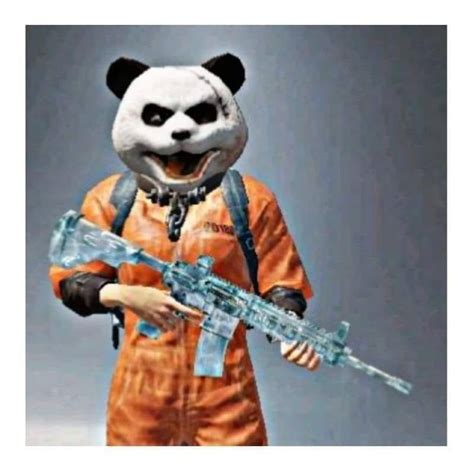 گروه پاپجی بازان