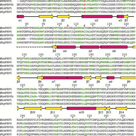 sequence alignment and secondary structure assignment alignment of the