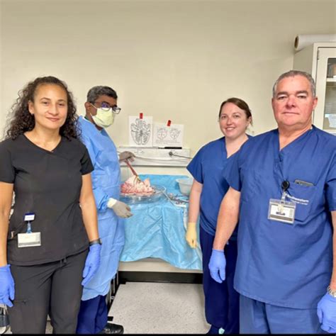 Lab Fun Sharma Lab Ut Southwestern Dallas Texas