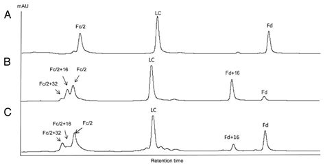 Genovis Antibody Oxidation