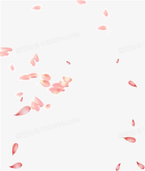 落下的花瓣PNG图片素材下载 落下PNG 熊猫办公