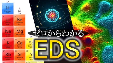 Edx 分析 例 Edx 元素分析 走査電子顕微鏡（sem Vuctt