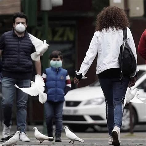 Nuevo Criterio Para Definir Los Casos Sospechosos De Coronavirus En