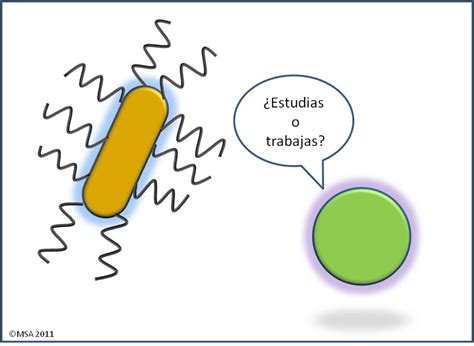 Bacterias En Caricatura Imagui