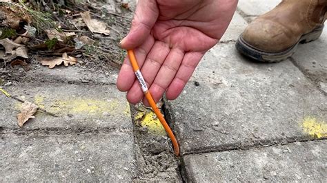 Video Daan Van Beek Bij Kabelnoord Van Hoofd Techniek Naar Directeur Prachtige Uitdaging