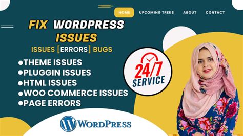 Fix Any Wordpress Issues Or Errors Within 3 Hours By Alizahhra Fiverr