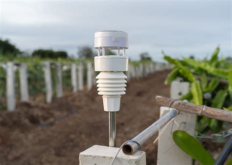 Smart Irrigation And Home Gardening Shelly Usa